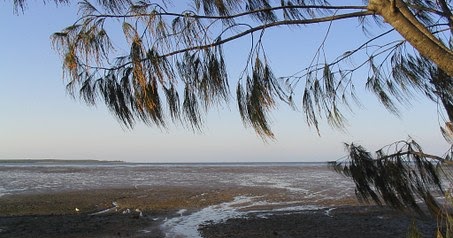 Medicinal Plants: AGOHO