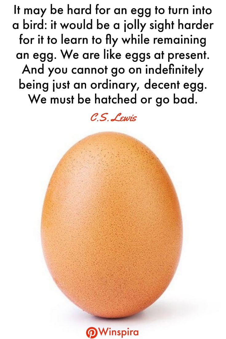 24 Quotes About Ordinary Eggs