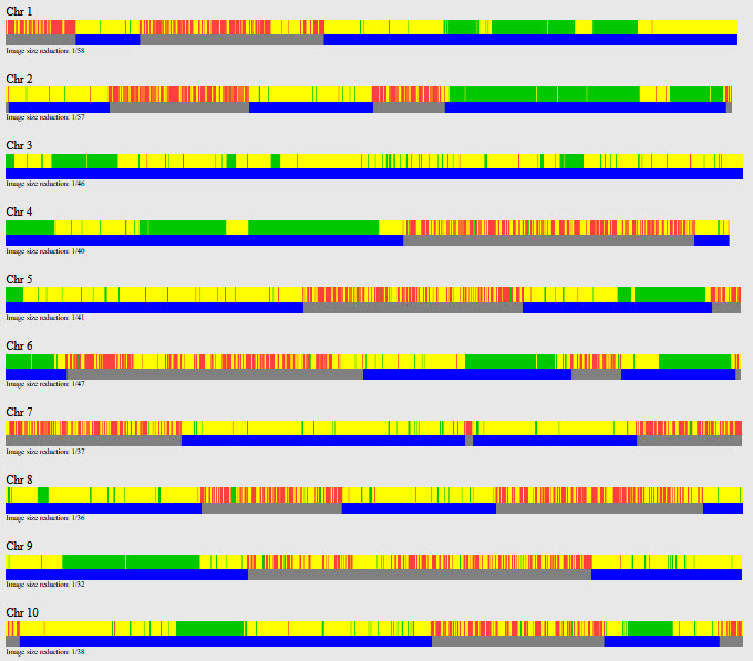 The Ultimate Family Historians: What is the big deal about a Chromosome ...