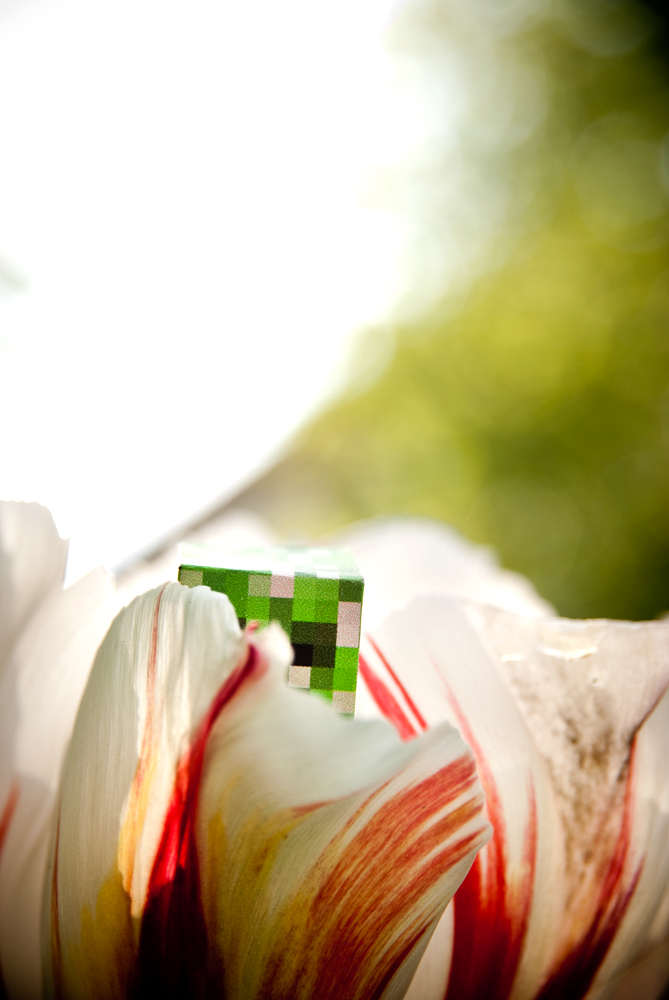 Revealing Photography: Minecraft Creeper Edition. ~ A Bit of Geek