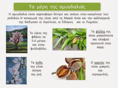 Νηπιαγωγός απο τα Πέντε: ΑΝΘΙΣΜΕΝΗ ΑΜΥΓΔΑΛΙΑ...