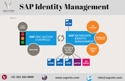 SAP Identity Management Online Training: SAP Identity Management vs SAP ...