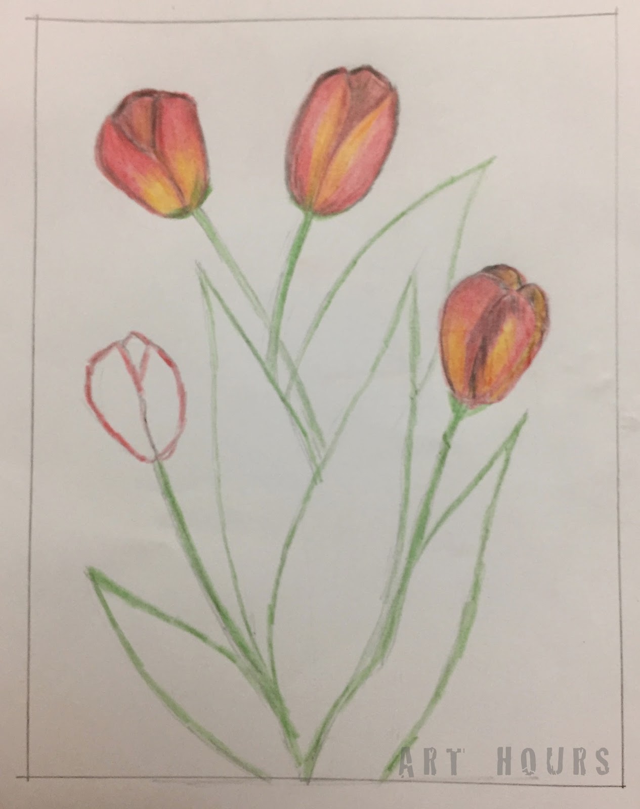 ArchGuide: Sketching Tulips - Pencil Shading Guide