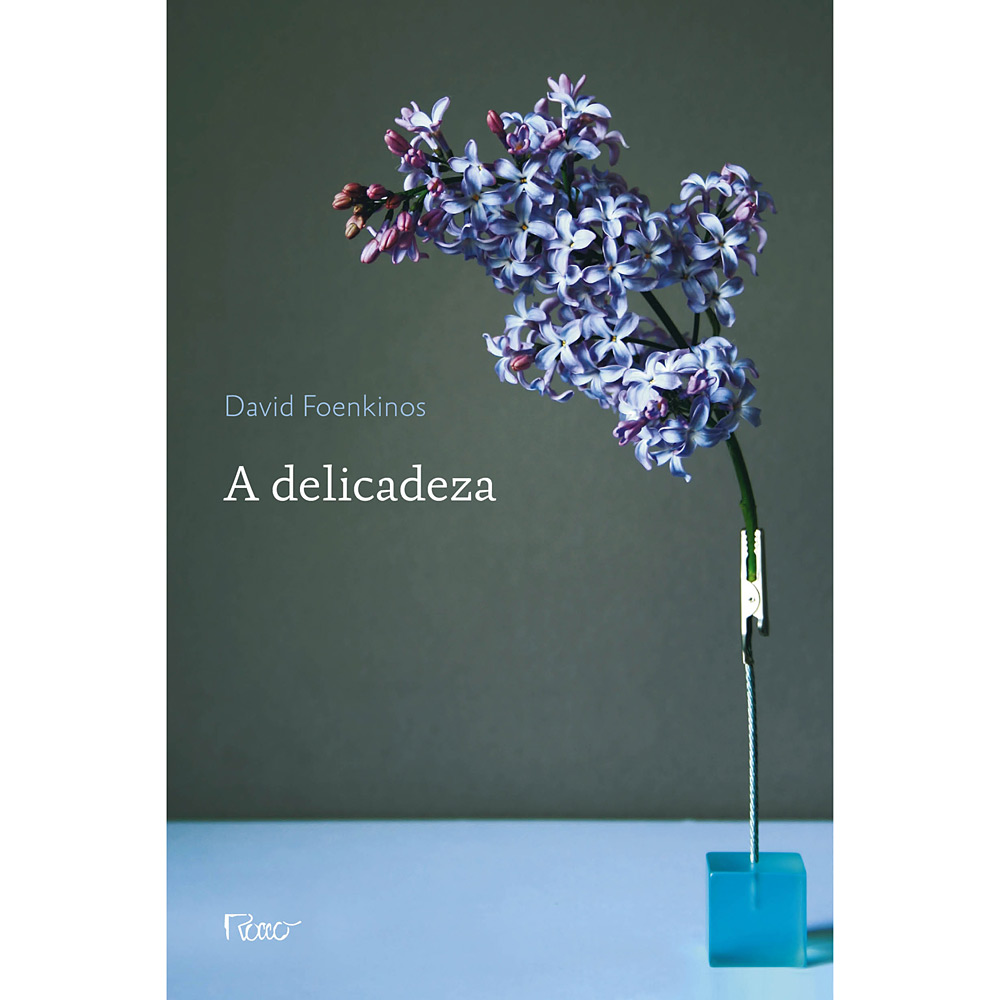 Entre Páginas e Sonhos: Resenha do livro: A Delicadeza de David Foenkinos