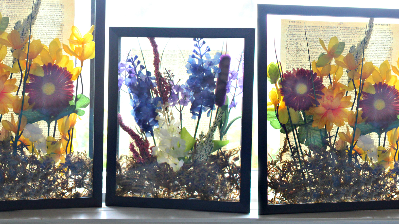 Mark Montano: Nature Diorama DIY