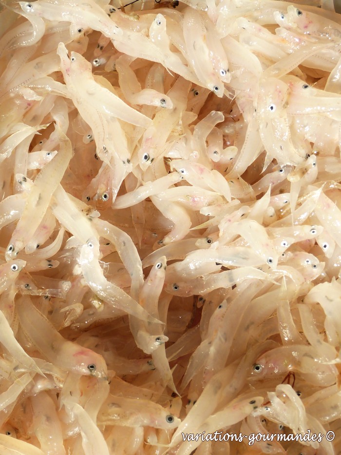 L'Omelette de poutine (La méléta dé poutina) | Variations Gourmandes