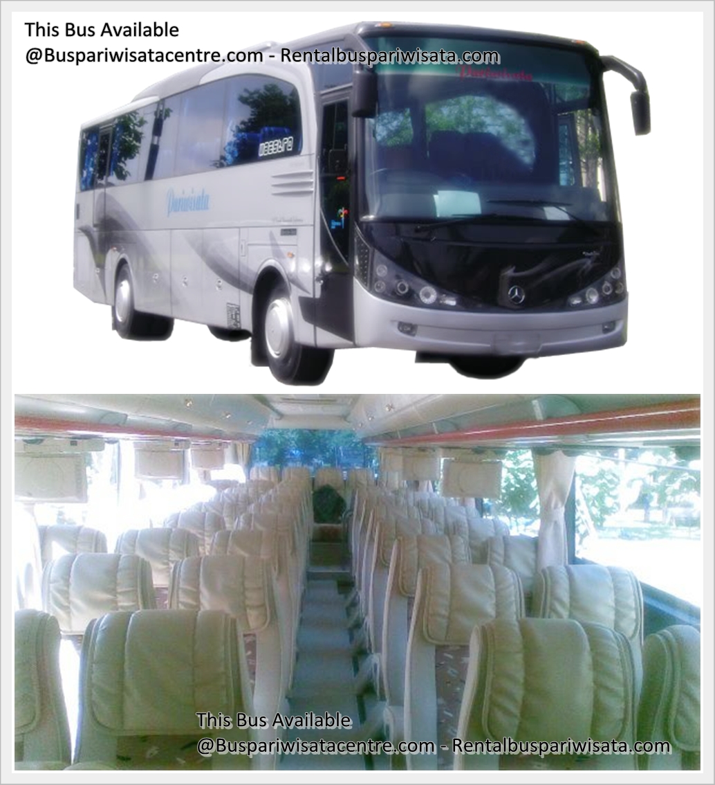 Sewa Bus Pariwisata - Rental Bus Pariwisata - Charter Bus Pariwisata ...