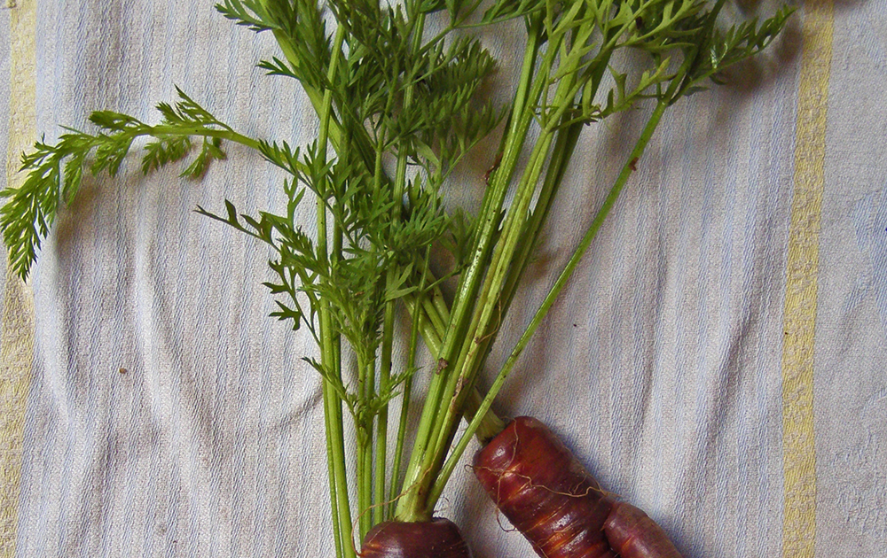 Seasonal Eating: Week 10 Veggie List & Ideas