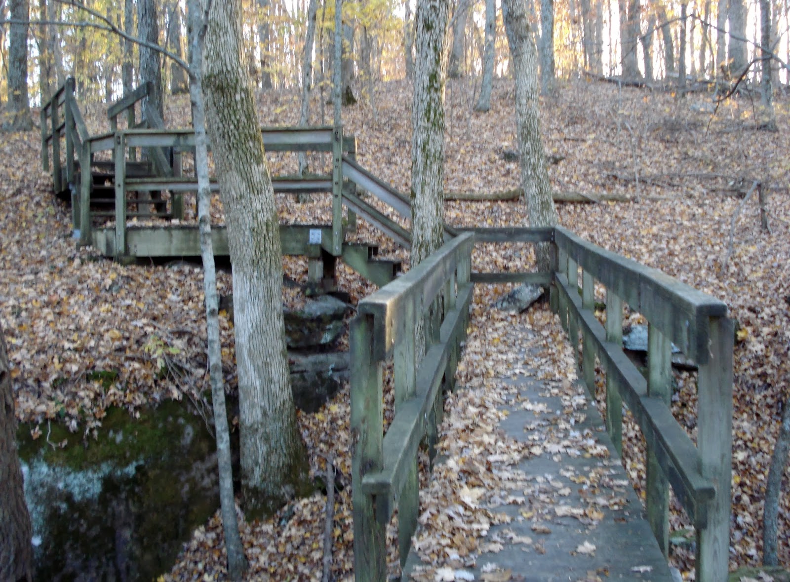 Experiencing Illinois: Millstone Bluff