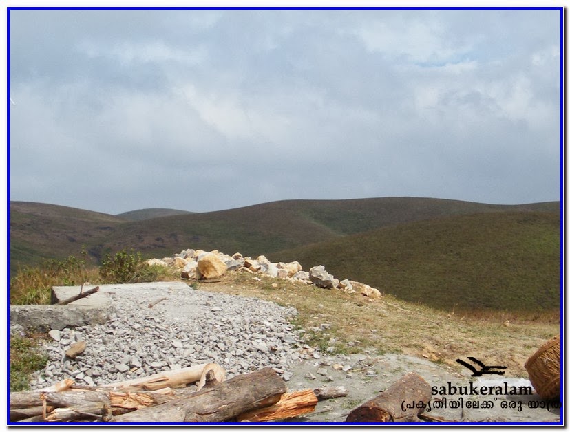 പ്രകൃതിയിലേക്ക് ഒരു യാത്ര (a travel towards NATURE): PULLUMEDU a unique ...