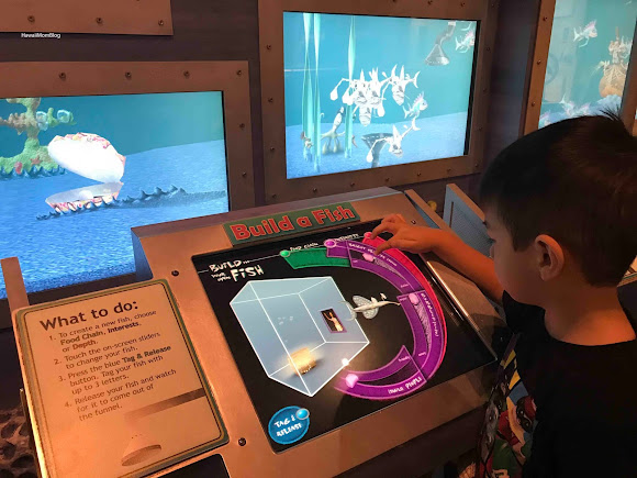 Hawaii Mom Blog: Visit Boston: Museum of Science