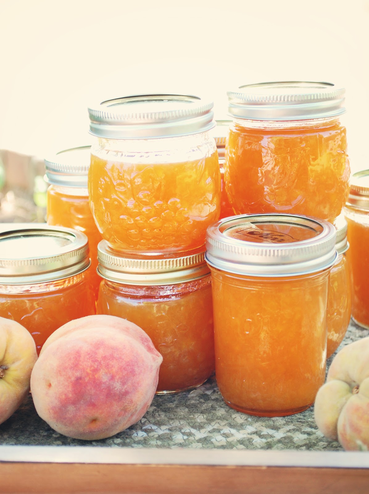 A Feathered Nest: Trying to get back in the game...