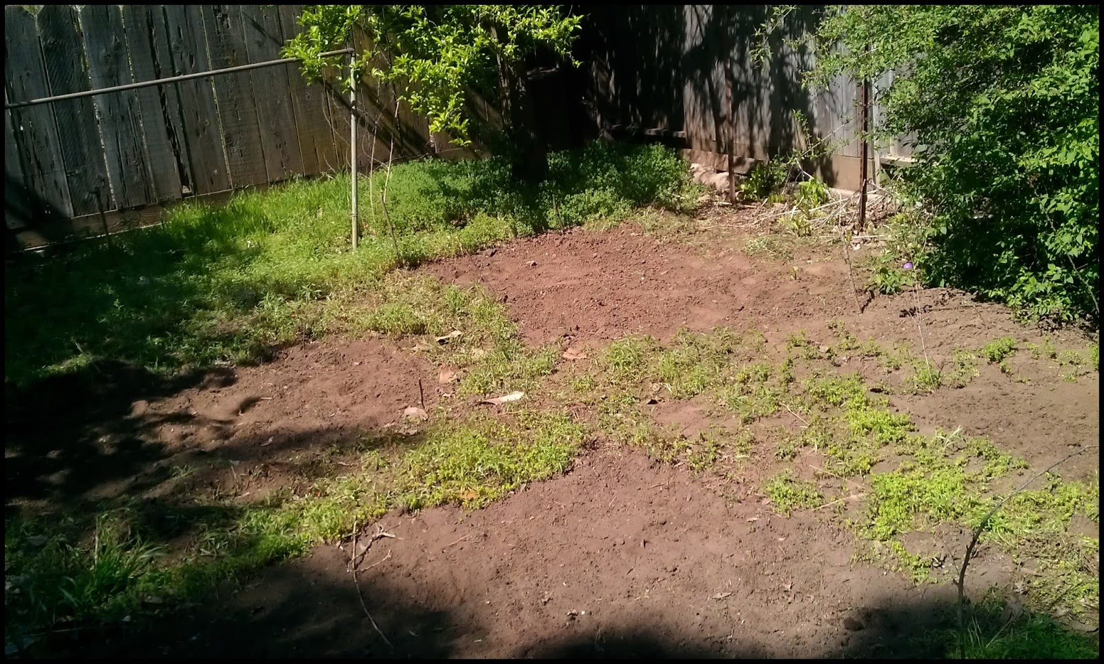 Gopher Proof Garden Beds | Krafty Fox