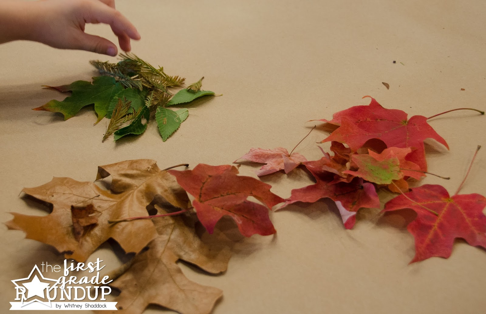 4 simple fall leaves preschool crafts & science activities - The First ...