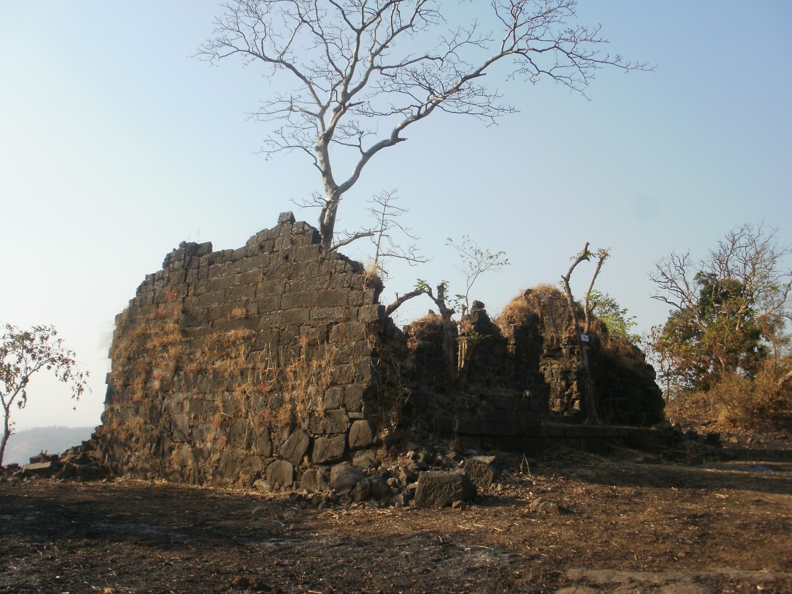 Anurag's Corner: AvchitGad-Birwadi Fort-GhosalGad-TalaGad-Kuda Caves ...