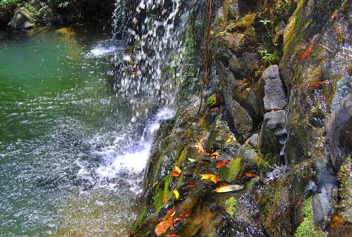 Scenic Philippines: Salakot Waterfalls-Napsan-Palawan