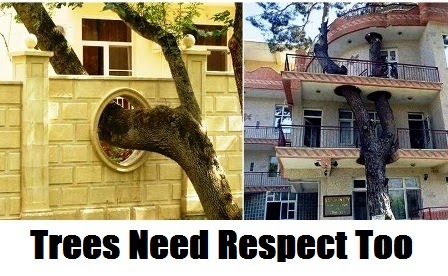 Thoughts to Promote Positive Action...: Trees Need Respect Too