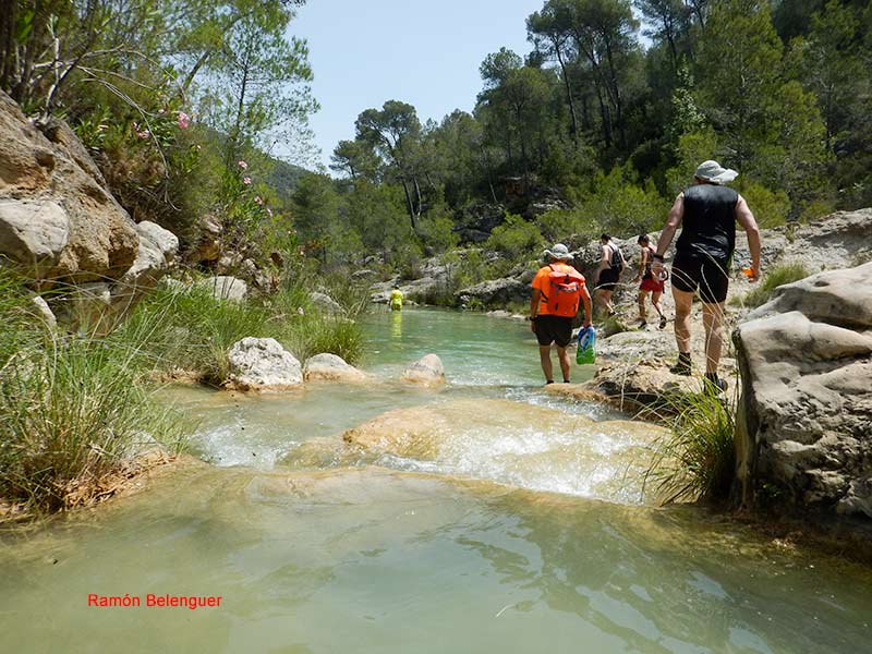 BICHOS Y MAS VLC: DE PASEO POR El RÍO FRAILE MENOS CONOCIDO