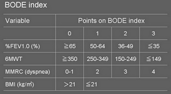 Emphysema - Symptoms, Causes, Stages, Life Expectancy, Treatment and ...