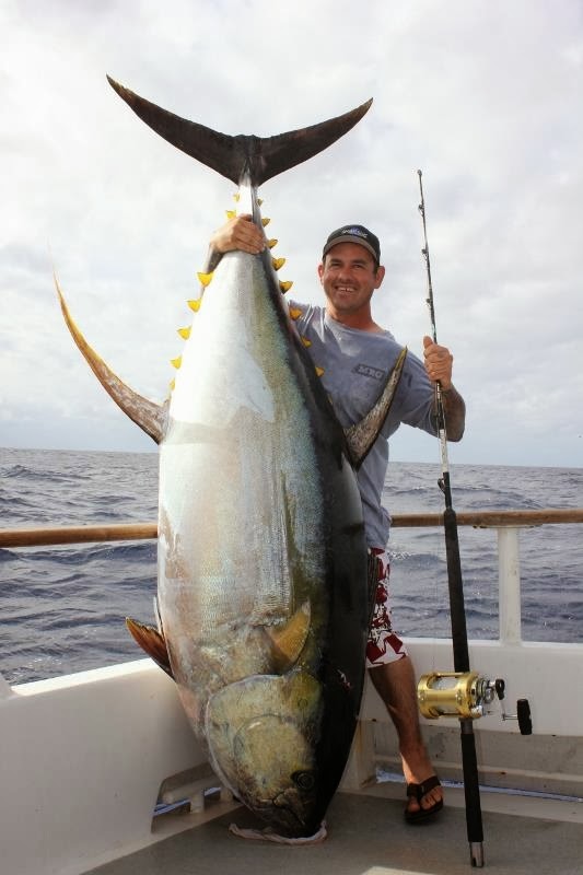 Mondo Pesca News: MESSICO: Tonno Yellowfin da paura!!!