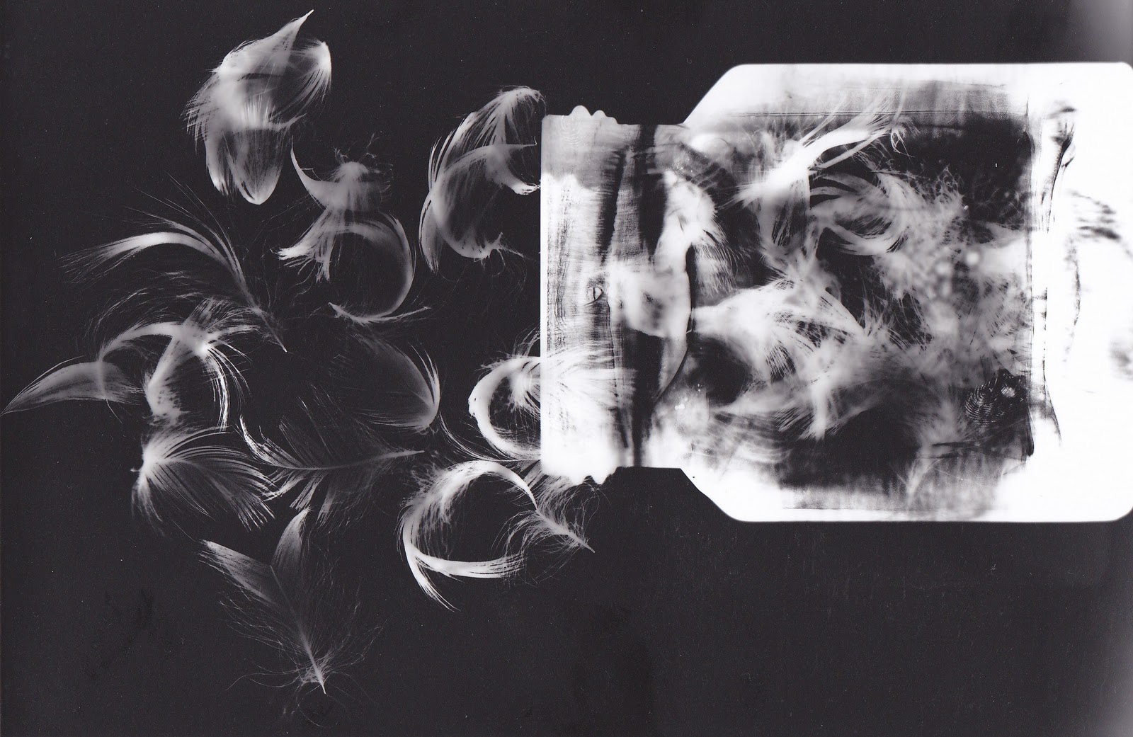 Graphic Design Blog: Photography Darkroom Workshop 1 - Rayograms