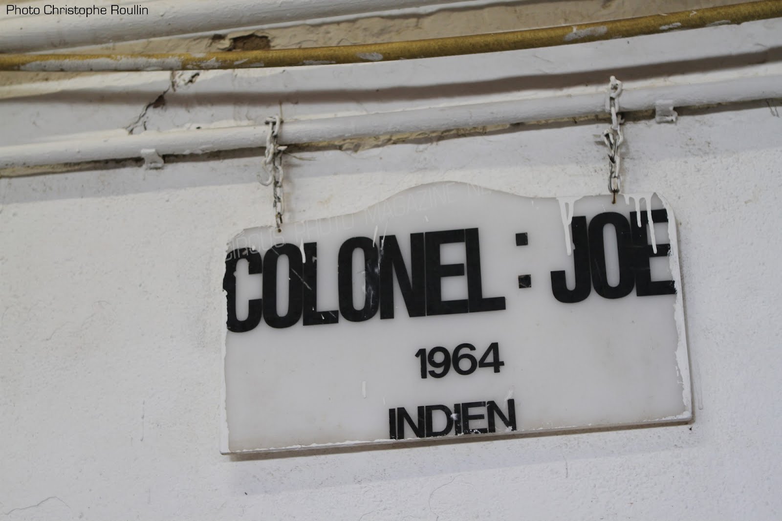 CIRCORAMA PART II: COLONEL JOE, LE GÉANT DES ÉLÉPHANTS, S'EST ÉTEINT.