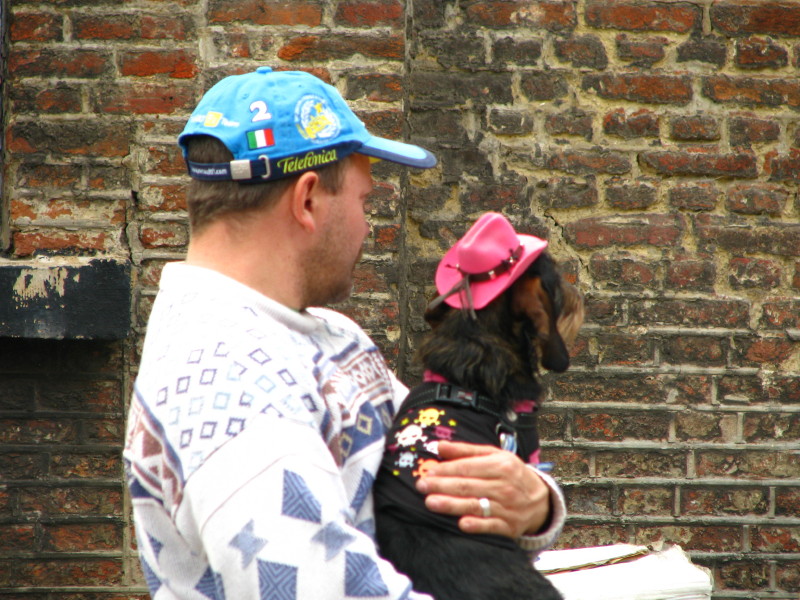 LB55'55-Emiel-on-the-blog: Hemiksem - Rommelmarkt - 't Nief Perdje