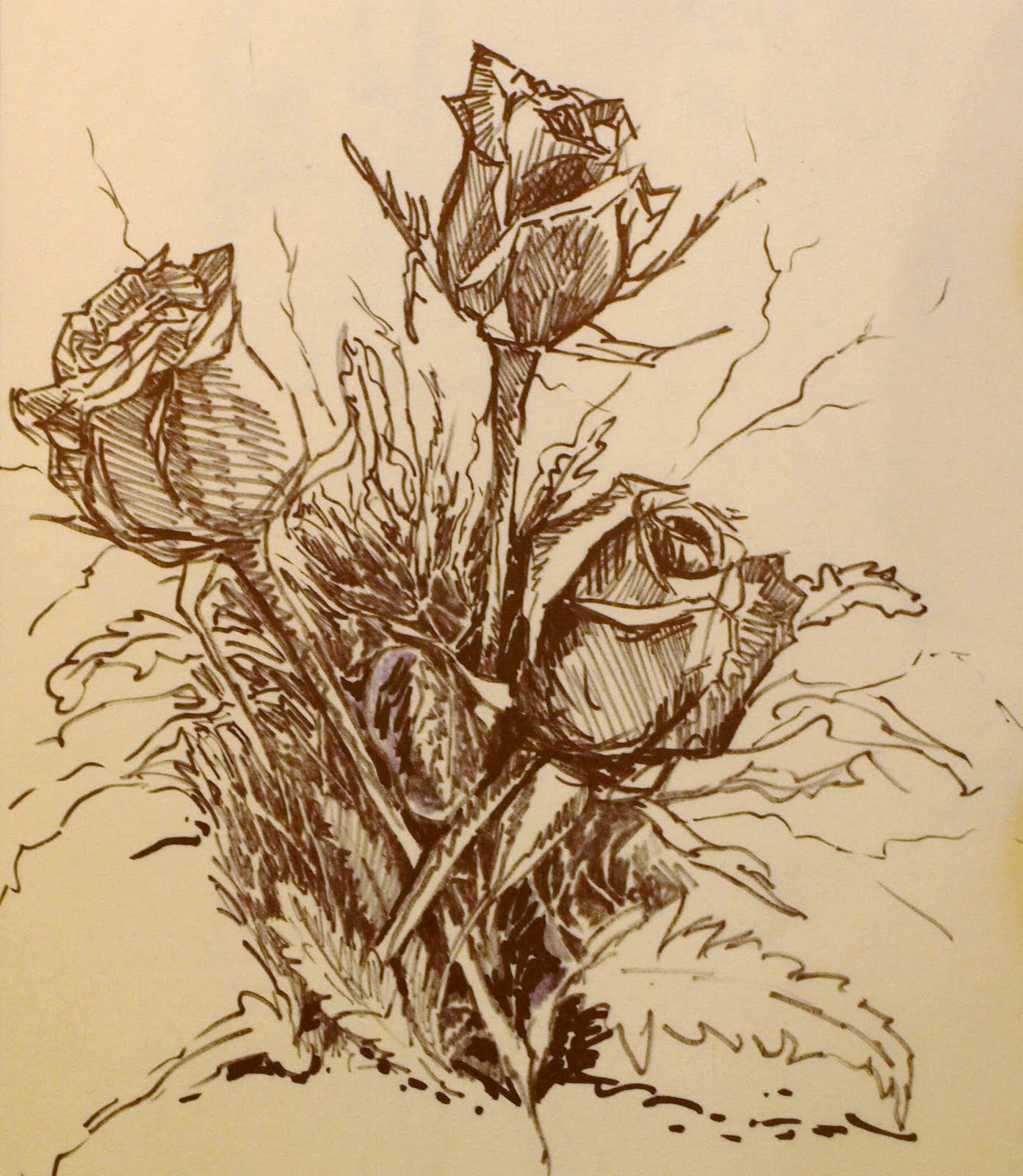 ARTIQUERYROSE: SEPIA ROSES