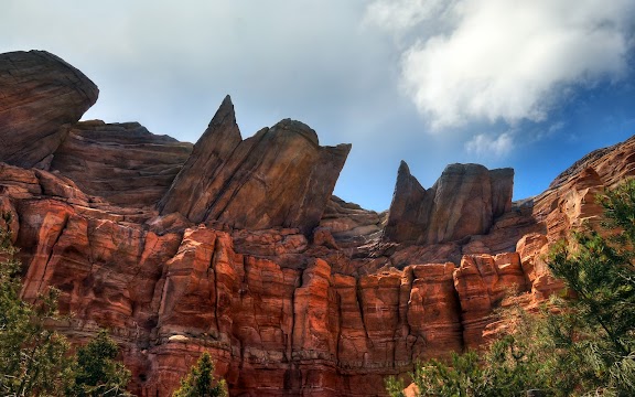 Disney Photoblography