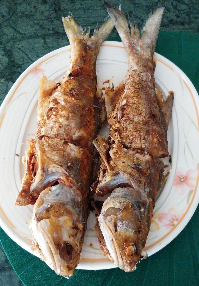 foodbin: Delicious Dinner 67.