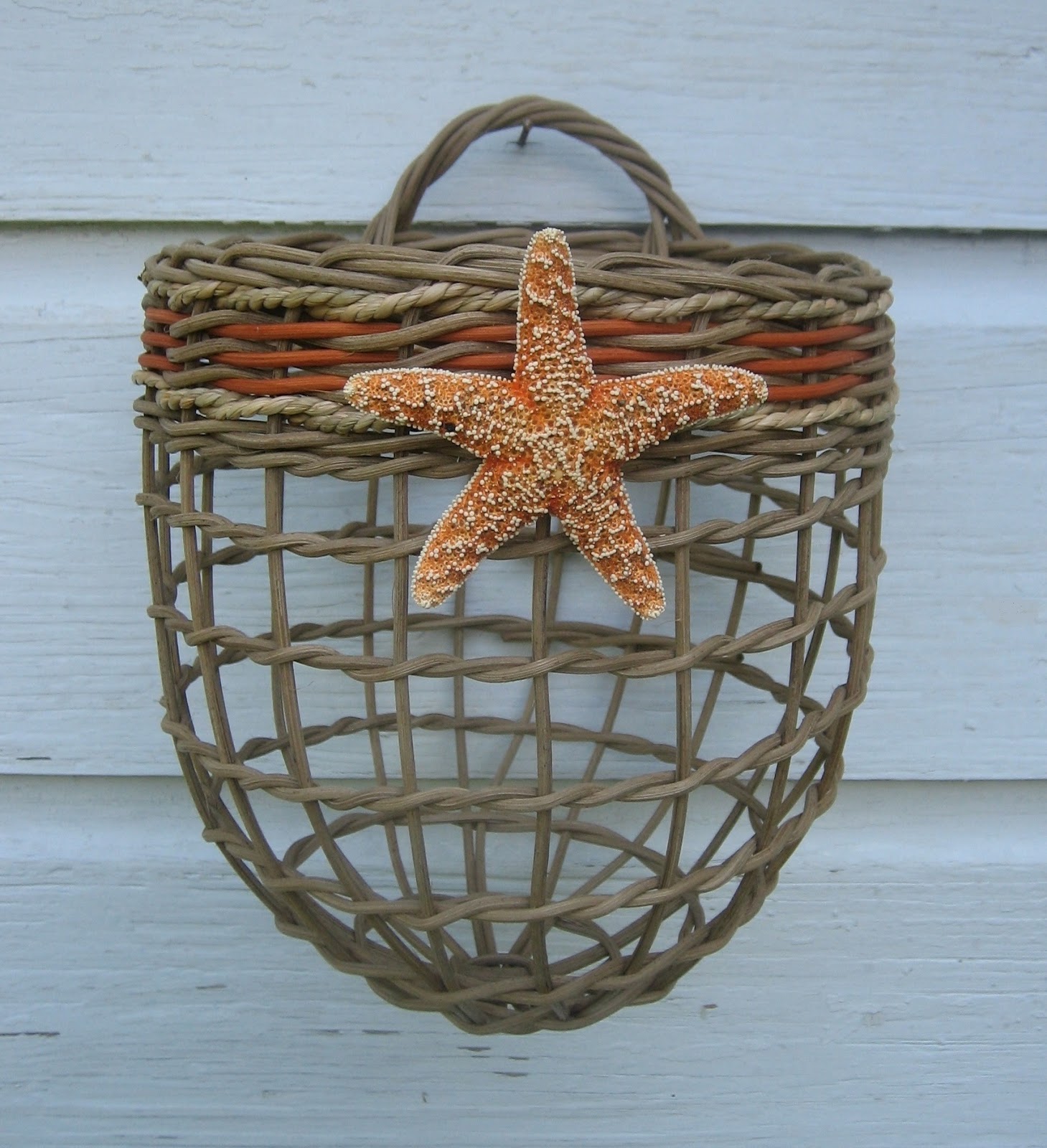 JIM FINEMAN: STARFISH and CALICO SCALLOP BASKETS