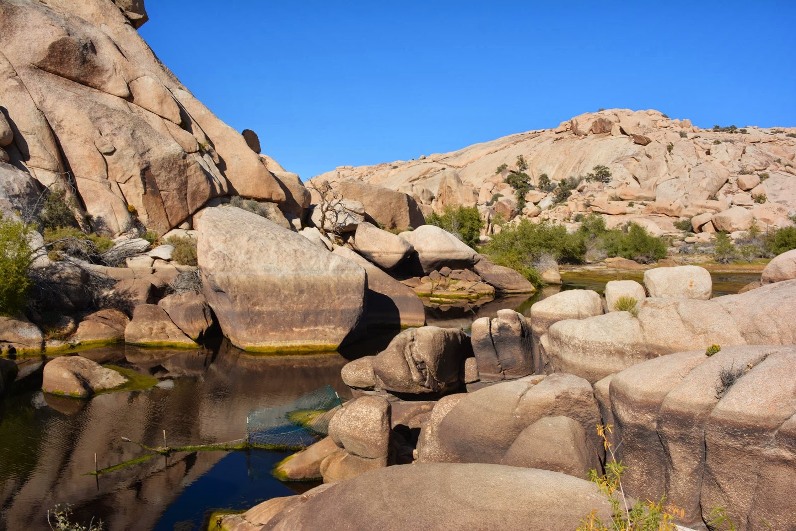 Patrick Tillett: Barker Dam and Disney Petroglyphs - Joshua Tree NP