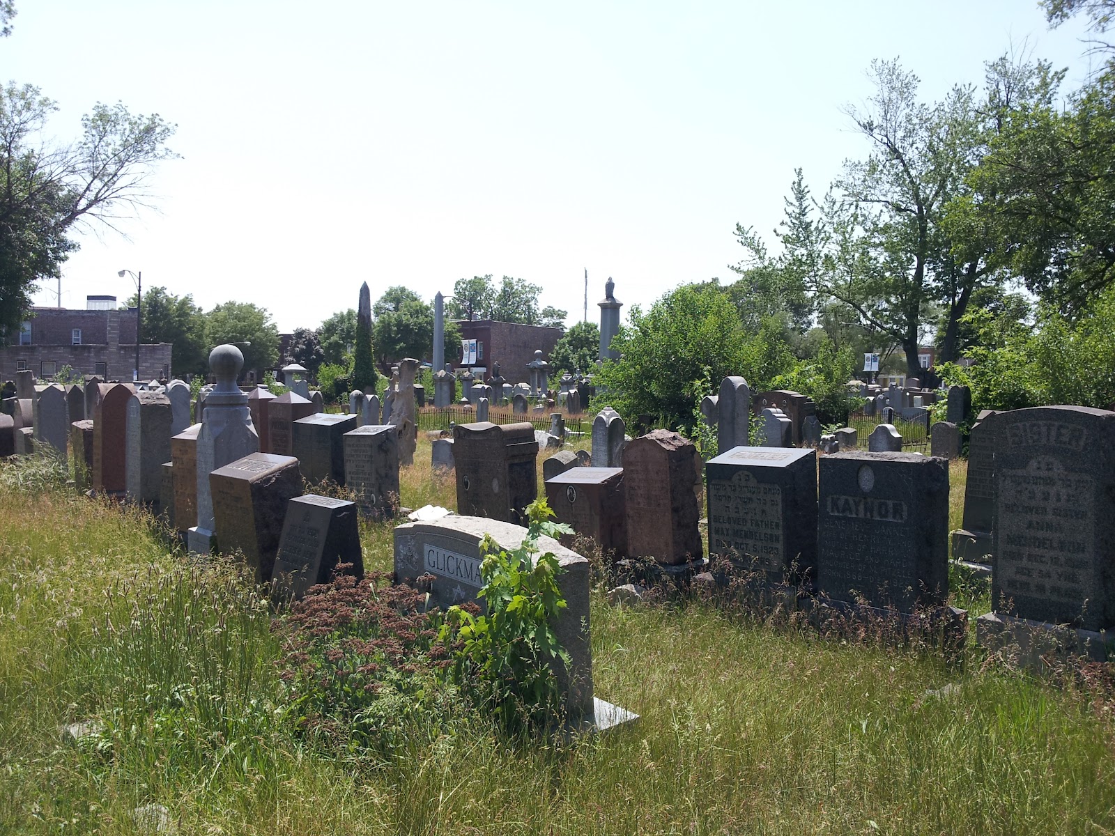 Oak Woods Cemetery - Chicago