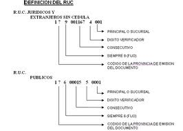 TRÁMITES BÁSICOS: RUC