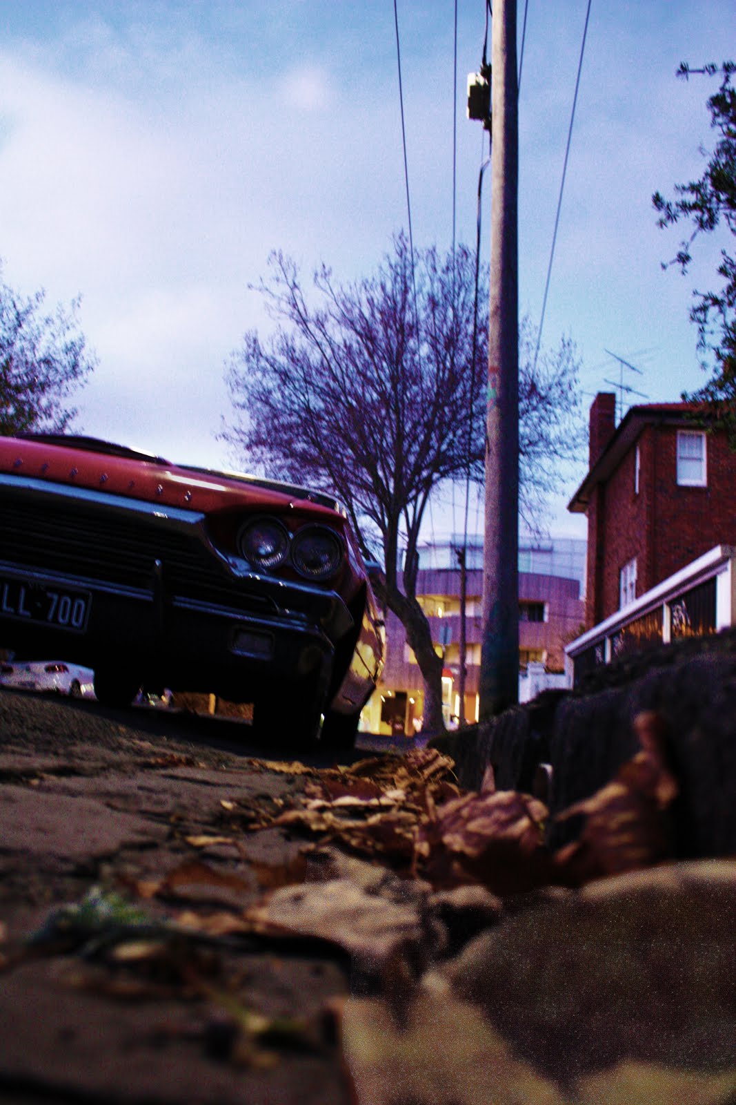 Kristy Lee Schofield: Quick Shots