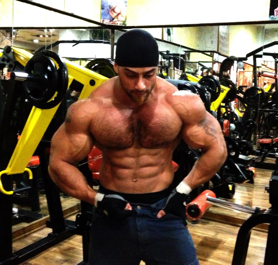 Muscle Lover: Jantee Shaaban