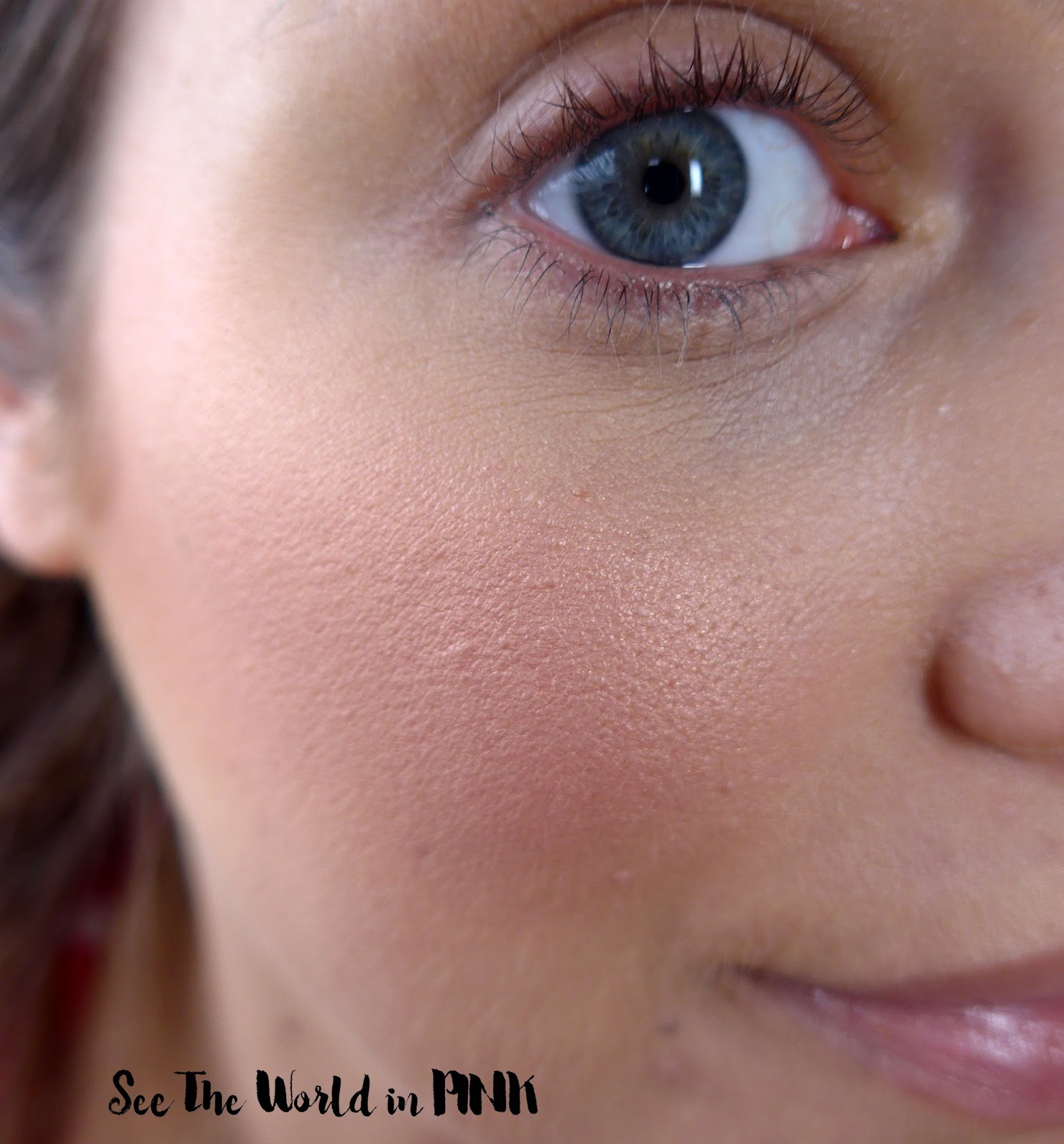 Too Faced Sweet Peach "Papa Don't Peach Blush" - Swatches and Review ...