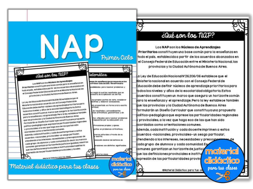 ¿Qué son los NAP? - Material Didactico para tus clases