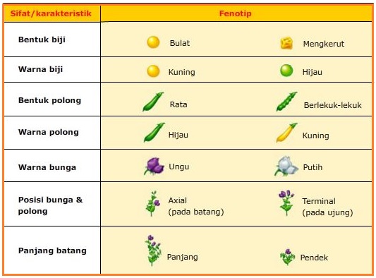 BIOLOGI GONZAGA: MENDELISM - GENETIKA