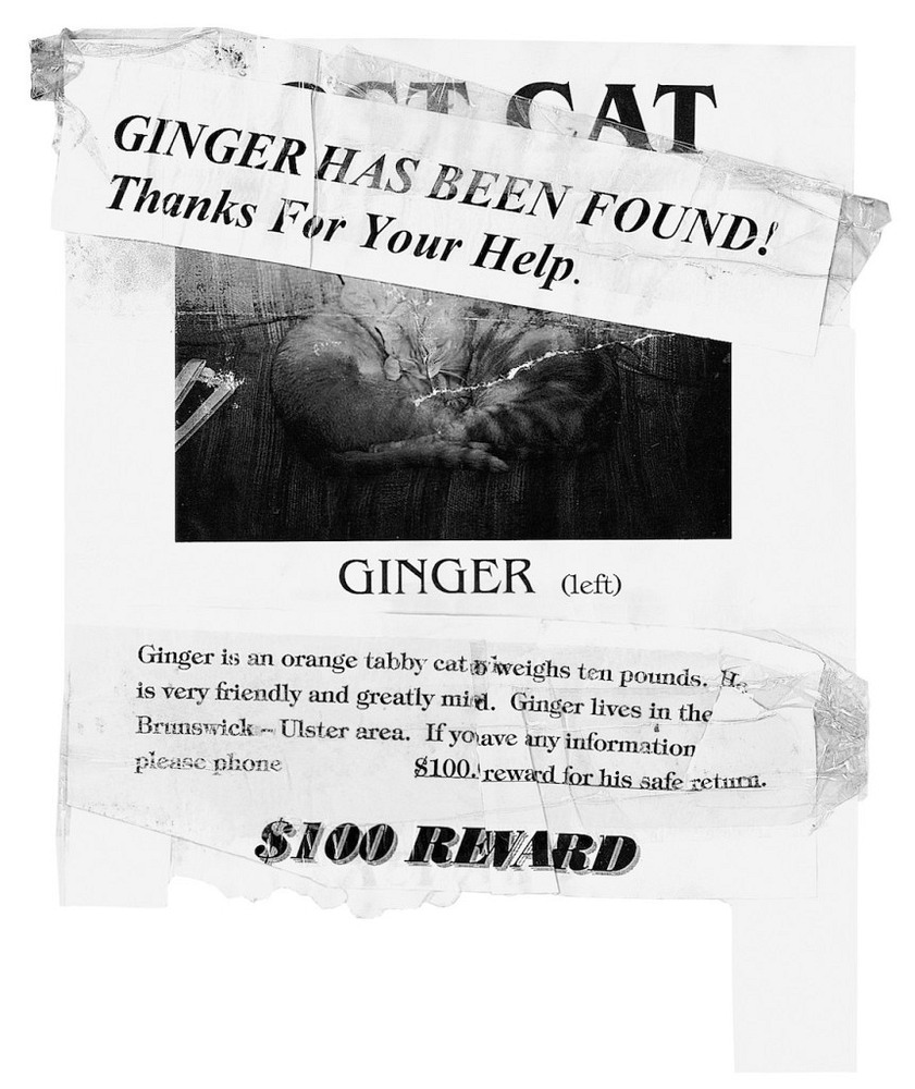 The Wonderful Art of Missing Pet Posters | Amusing Planet