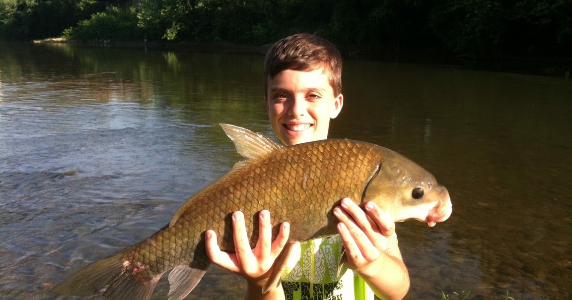 Canoeing In Ohio: River Carpsucker Next >