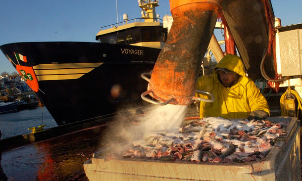 12 Degrees of Freedom: Can commercial fishing be both profitable and ...