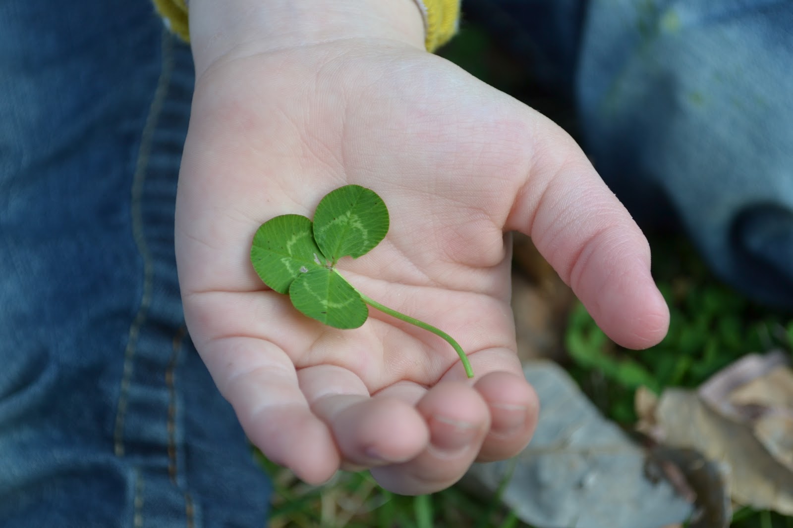Three Pixie Lane: A Three-Leaf Clover and the Trinity