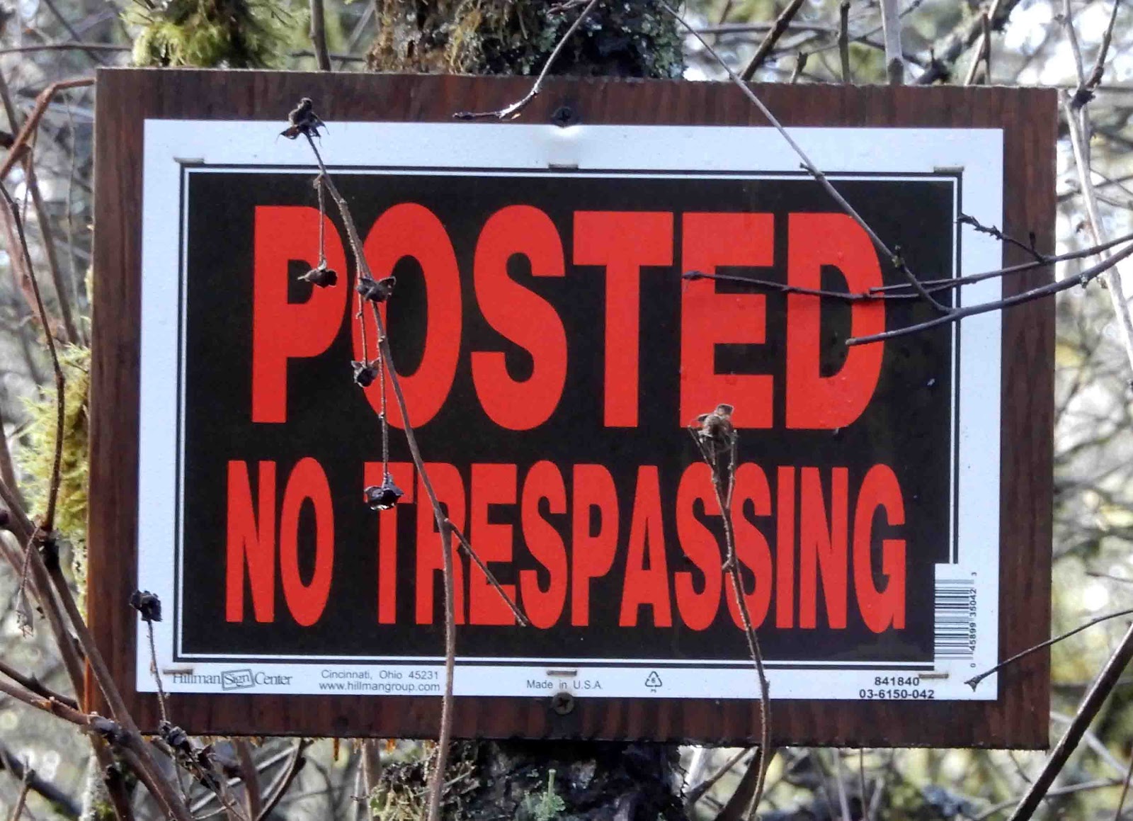 Cat Patches: Posted: No Sewing