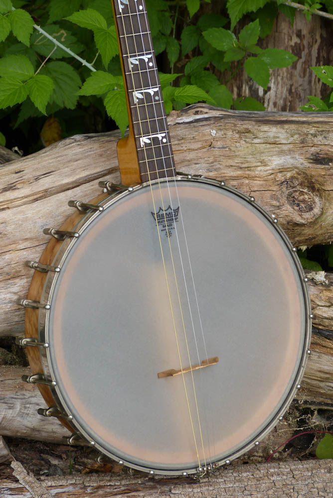 1920s Lange-made Langstile II Openback Tenor Banjo