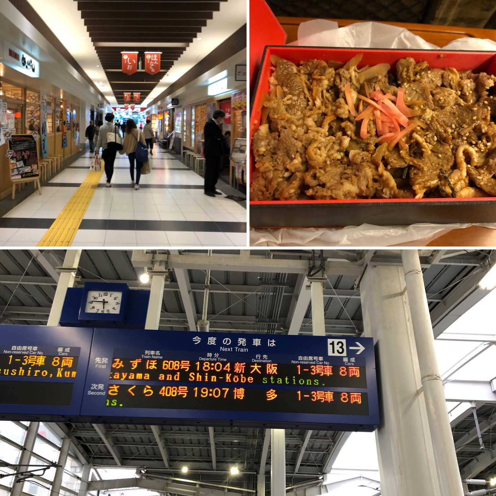 Day trip from Fukuoka to Kagoshima and Sakurajima by JR Kyushu Rail Pass