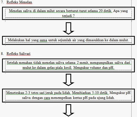 REFLEKS MANUSIA - Frens
