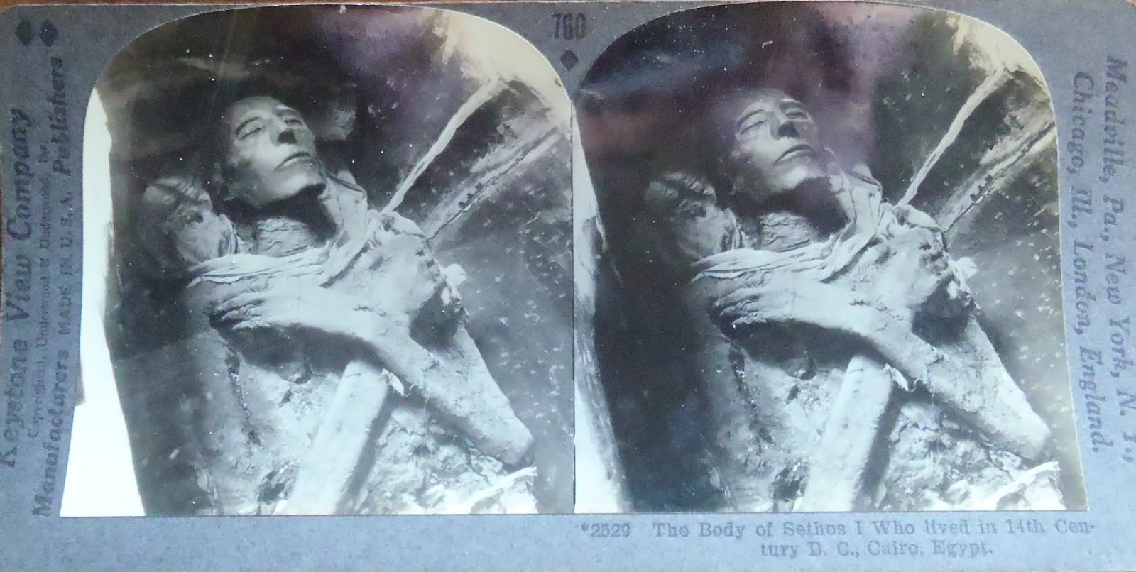 Egyptians: The Mummy of Queen Tiye