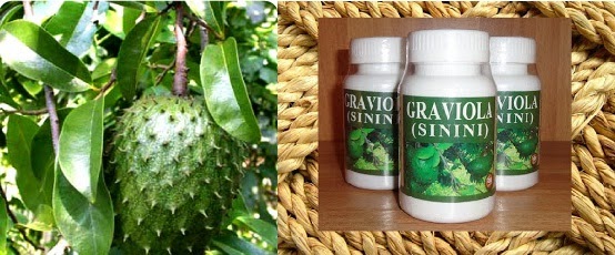 ECOLÓGICA SUPER NATURAL: Sinini cura el Cancer