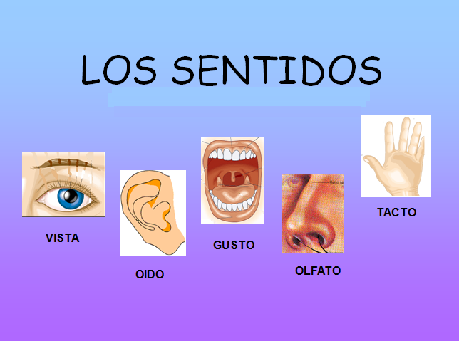 Patricienta y sus mikos: julio 2013